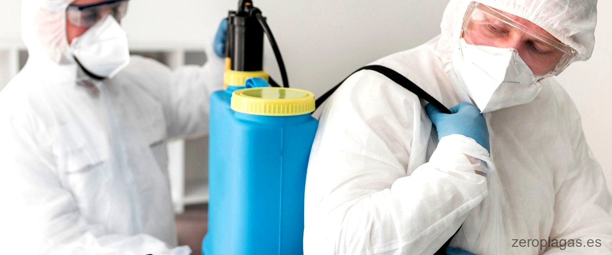 Eliminar plagas de moscas en Valencia - Zero plagas