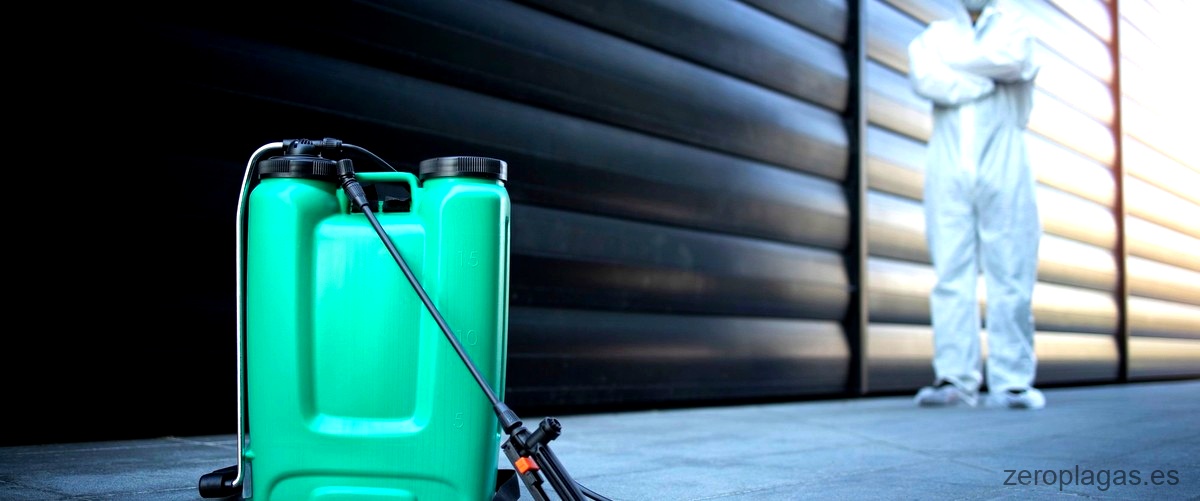 Control de plagas en Gerona - Zero plagas