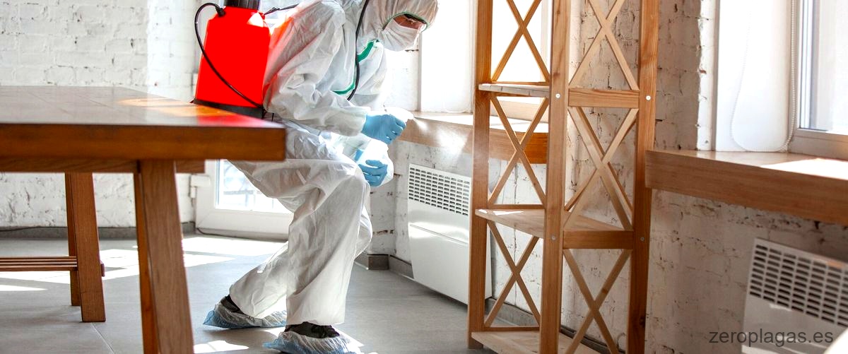 Eliminar plagas de moscas en Albacete - Zero plagas