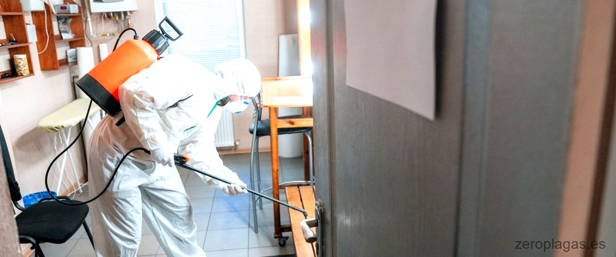 Eliminar plagas de moscas en Las Palmas - Zero plagas