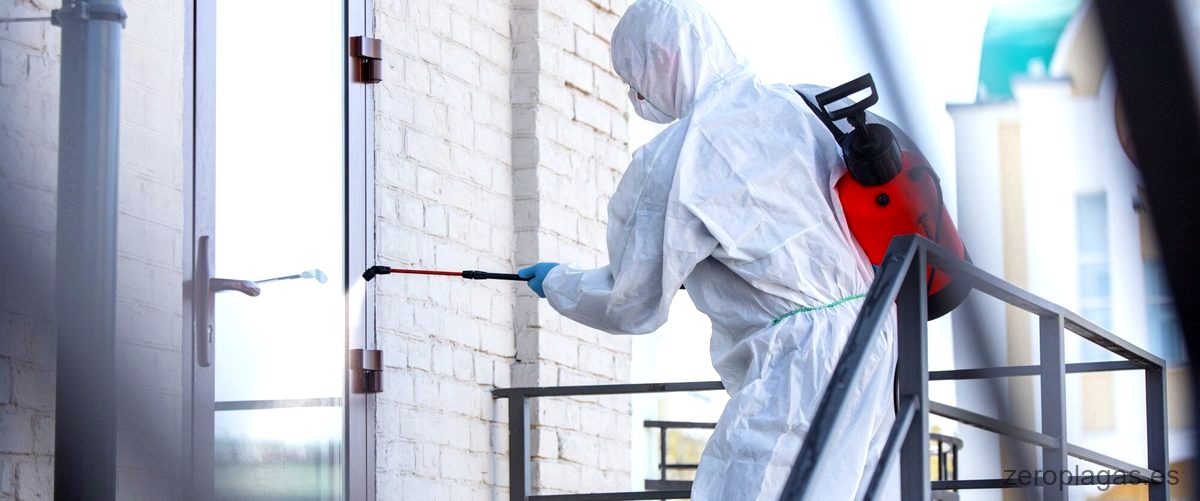 Eliminar plagas de moscas en Zaragoza - Zero plagas
