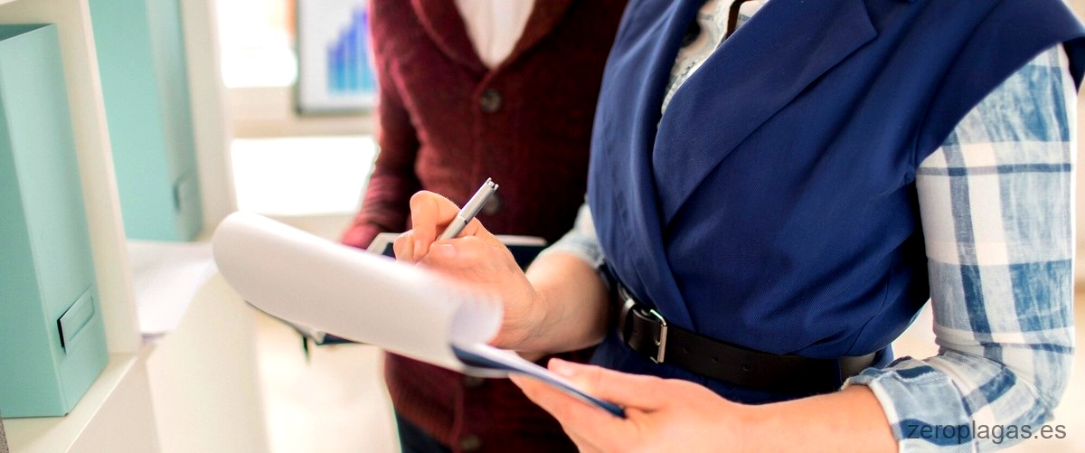 Eliminar plagas de carcoma en Zaragoza - Zero plagas