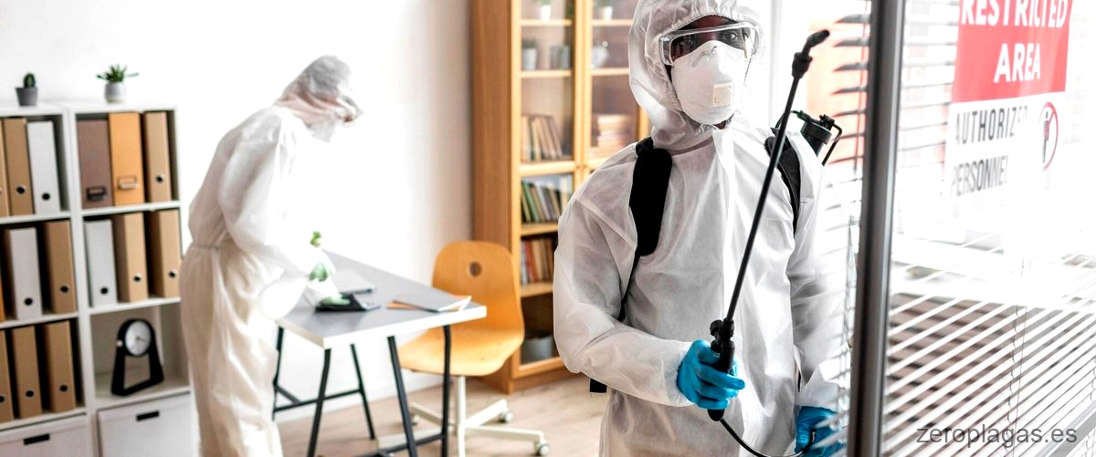 Eliminar plagas de carcoma en Lérida - Zero plagas