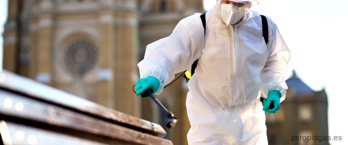 Eliminar plagas de hormigas en Salamanca - Zero plagas