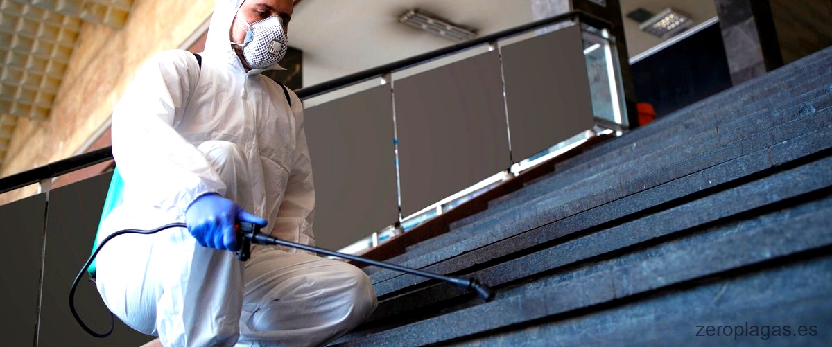 Eliminar plagas de moscas en Asturias - Zero plagas