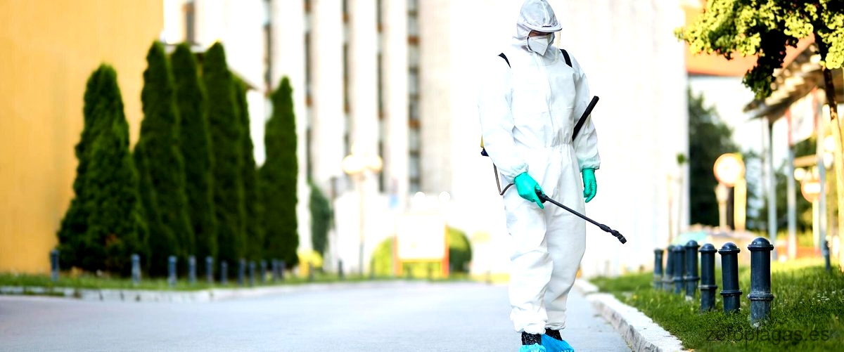 Eliminar plagas de moscas en Ciudad Real - Zero plagas