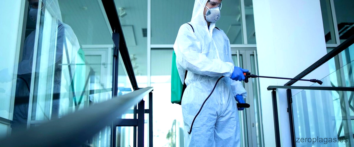 Eliminar plagas de moscas en Madrid - Zero plagas