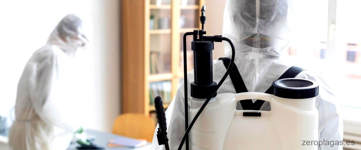 Eliminar plagas de moscas en Guipúzcoa - Zero plagas