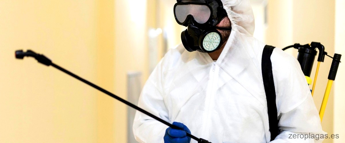 Eliminar plagas de moscas en Valladolid - Zero plagas