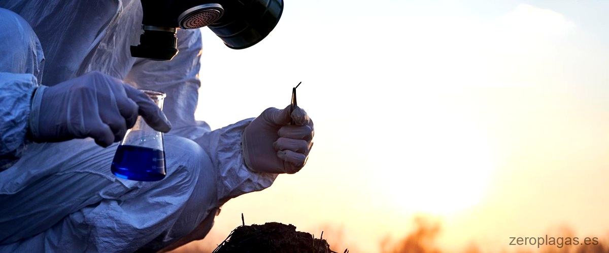 Eliminar plagas de moscas en Navarra - Zero plagas