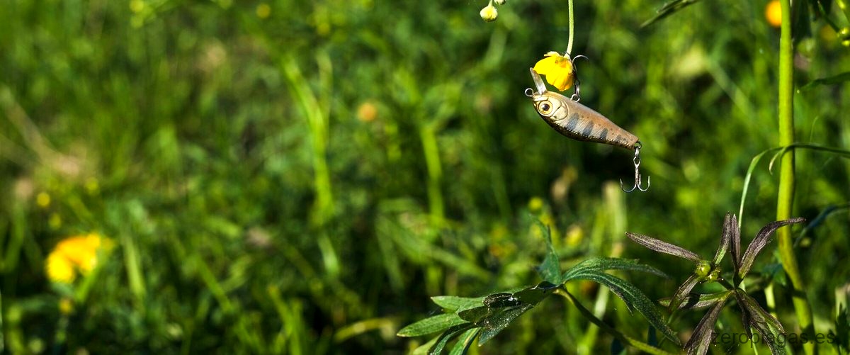 Control De Plagas De Aves En España Zero Plagas