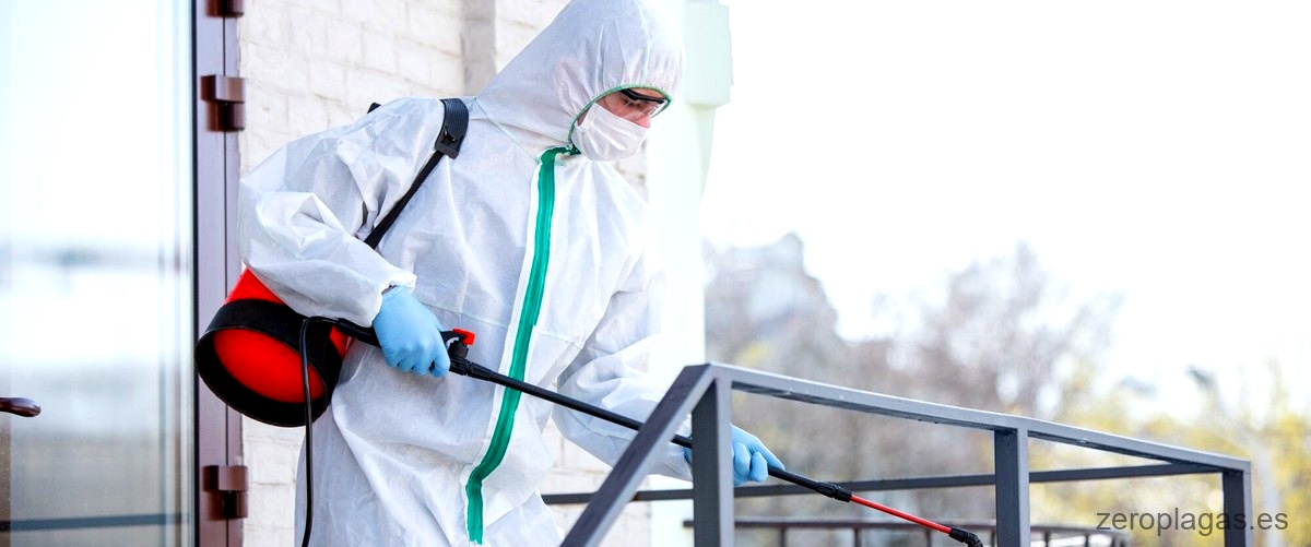 Eliminar plagas de mosquitos en Navarra - Zero plagas