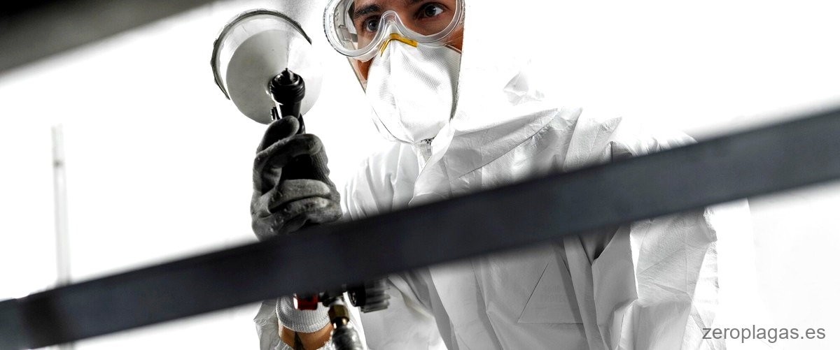 Eliminar plagas de moscas en Lugo - Zero plagas