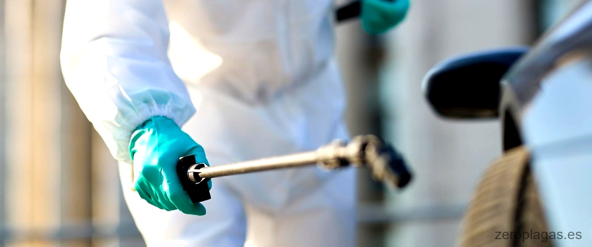 Eliminar plagas de moscas en Salamanca - Zero plagas