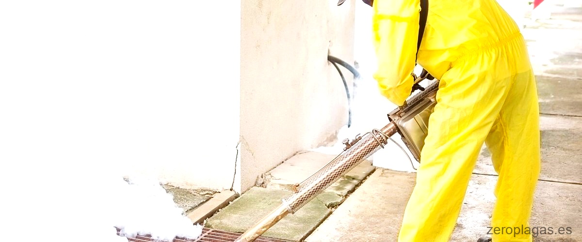 Eliminar plagas de moscas en Huelva - Zero plagas